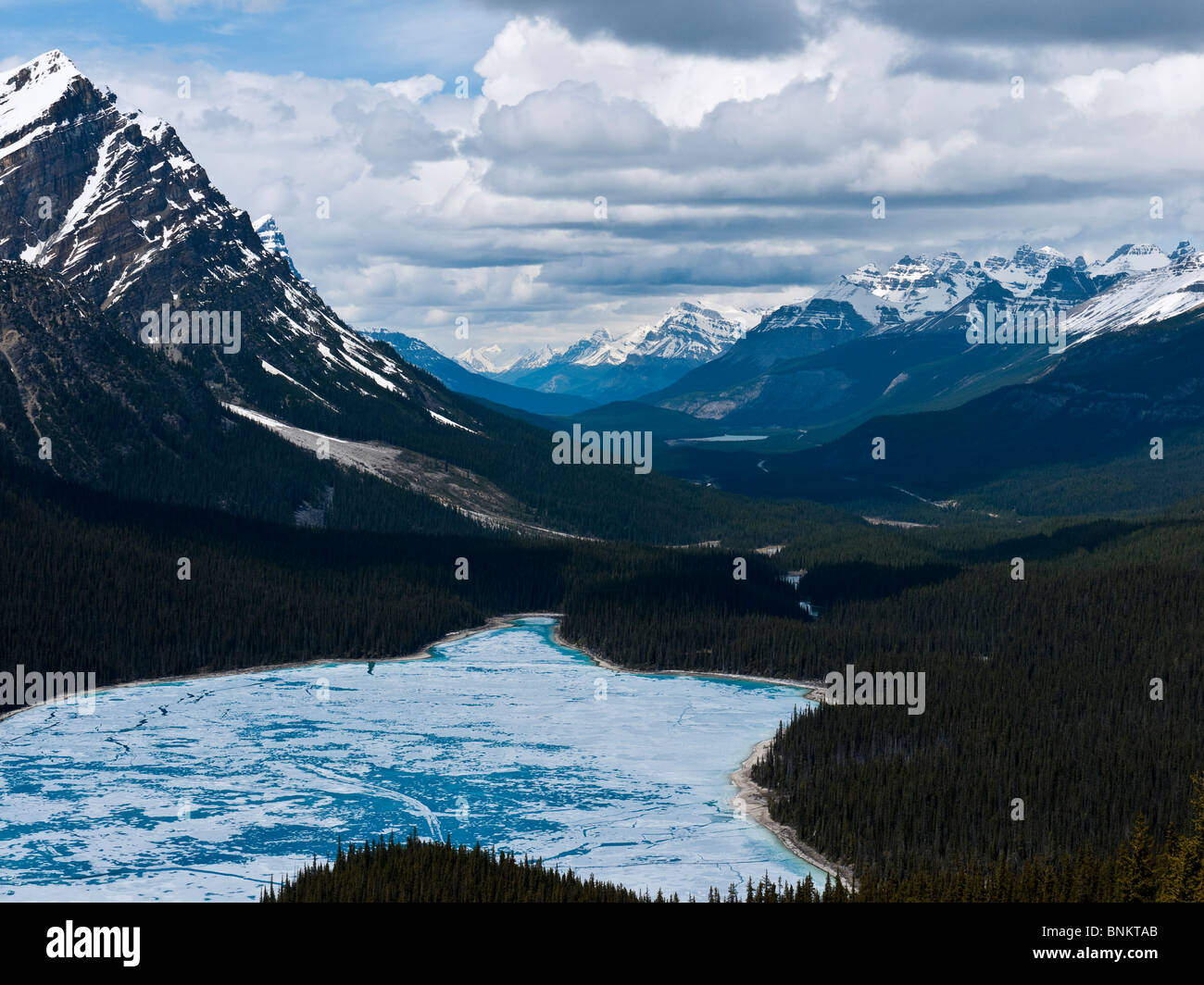 Partially frozen Peyto Lake named after Bill Peyto viewed from Bow ...