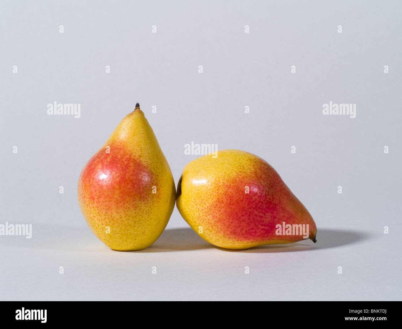 Pair of Perry Pears on a soft grey background Stock Photo - Alamy