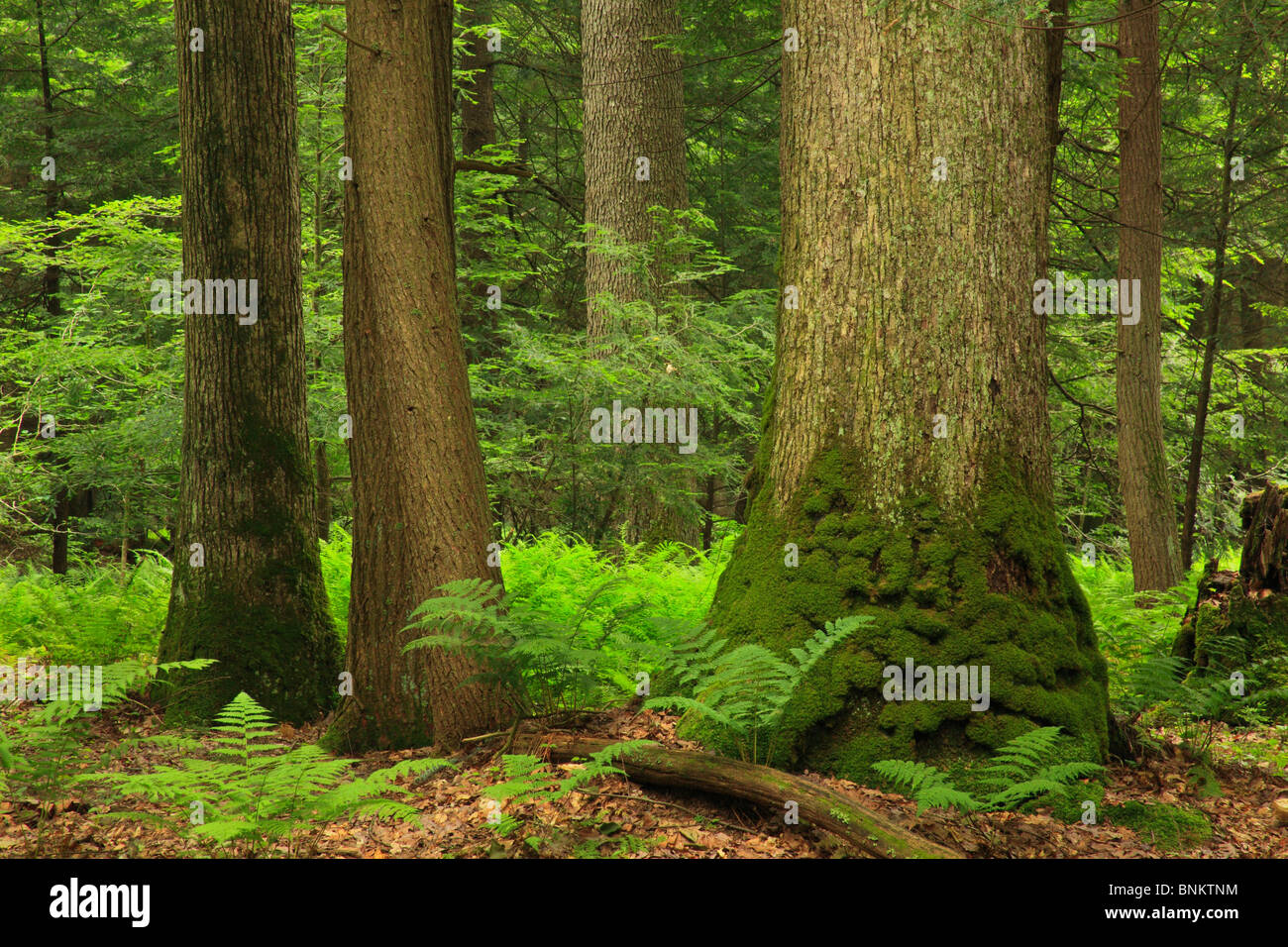Brookside west virginia hi-res stock photography and images - Alamy