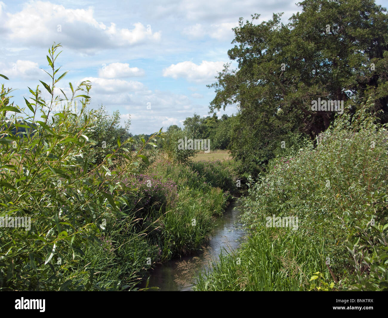 River Wey Godalming Navigation High Resolution Stock Photography and ...