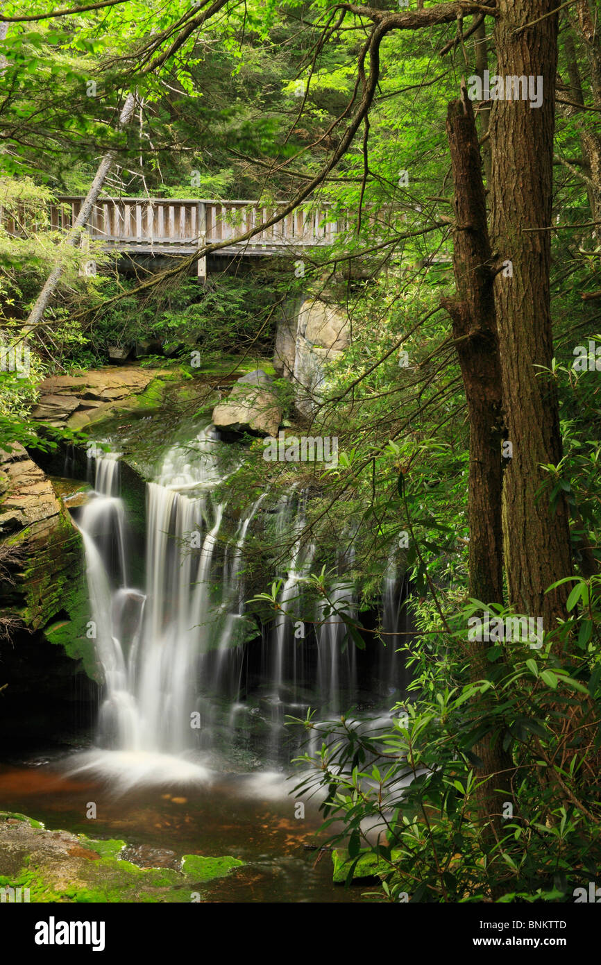 Elakala Falls in Blackwater Falls State Park, Davis, West Virginia, USA ...