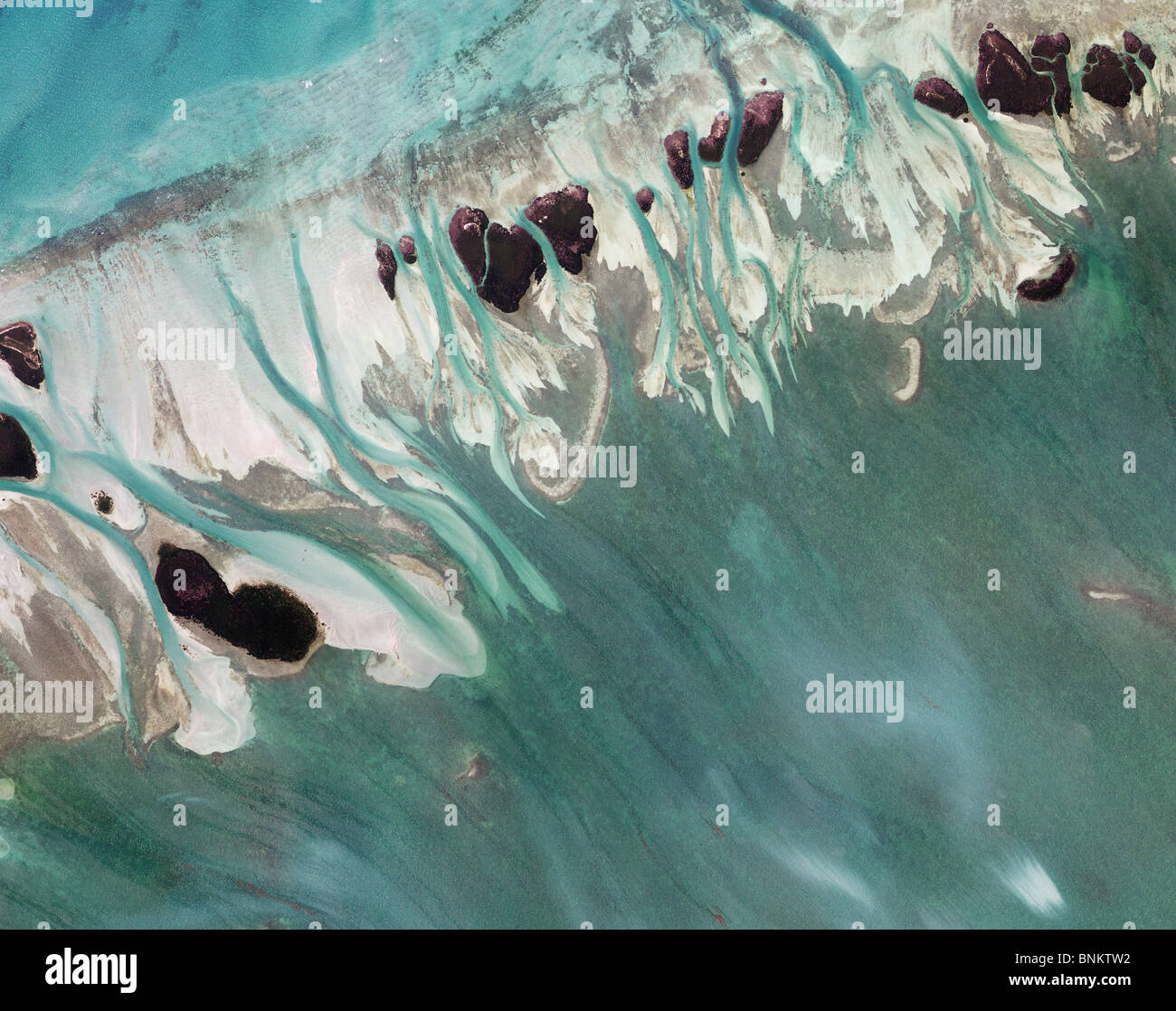 Exploring The Fascinating World Of Florida Keys Barracuda Feeding Off ...