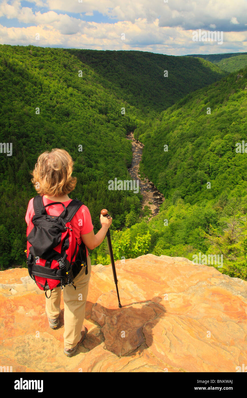 Hiker looks into Blackwater River Canyon from Pendleton Point Overlook ...