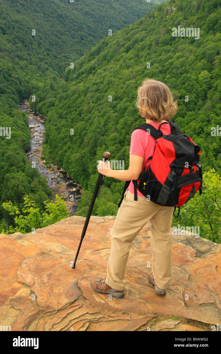 Blackwater canyon trail hi-res stock photography and images - Alamy