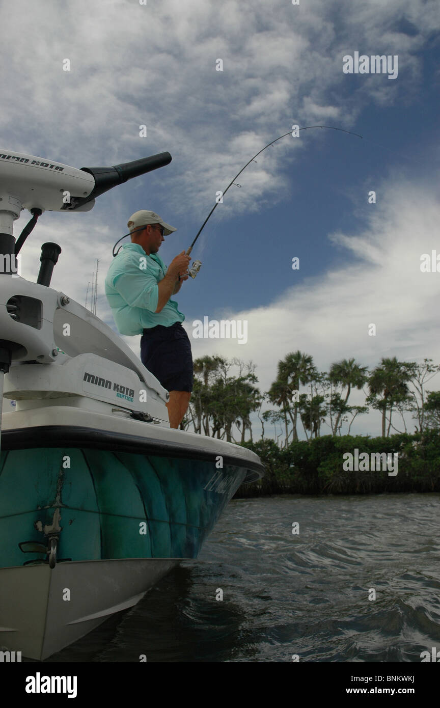 An inshore angler hooks a giant snook caught in Florida's Intracoastal ...