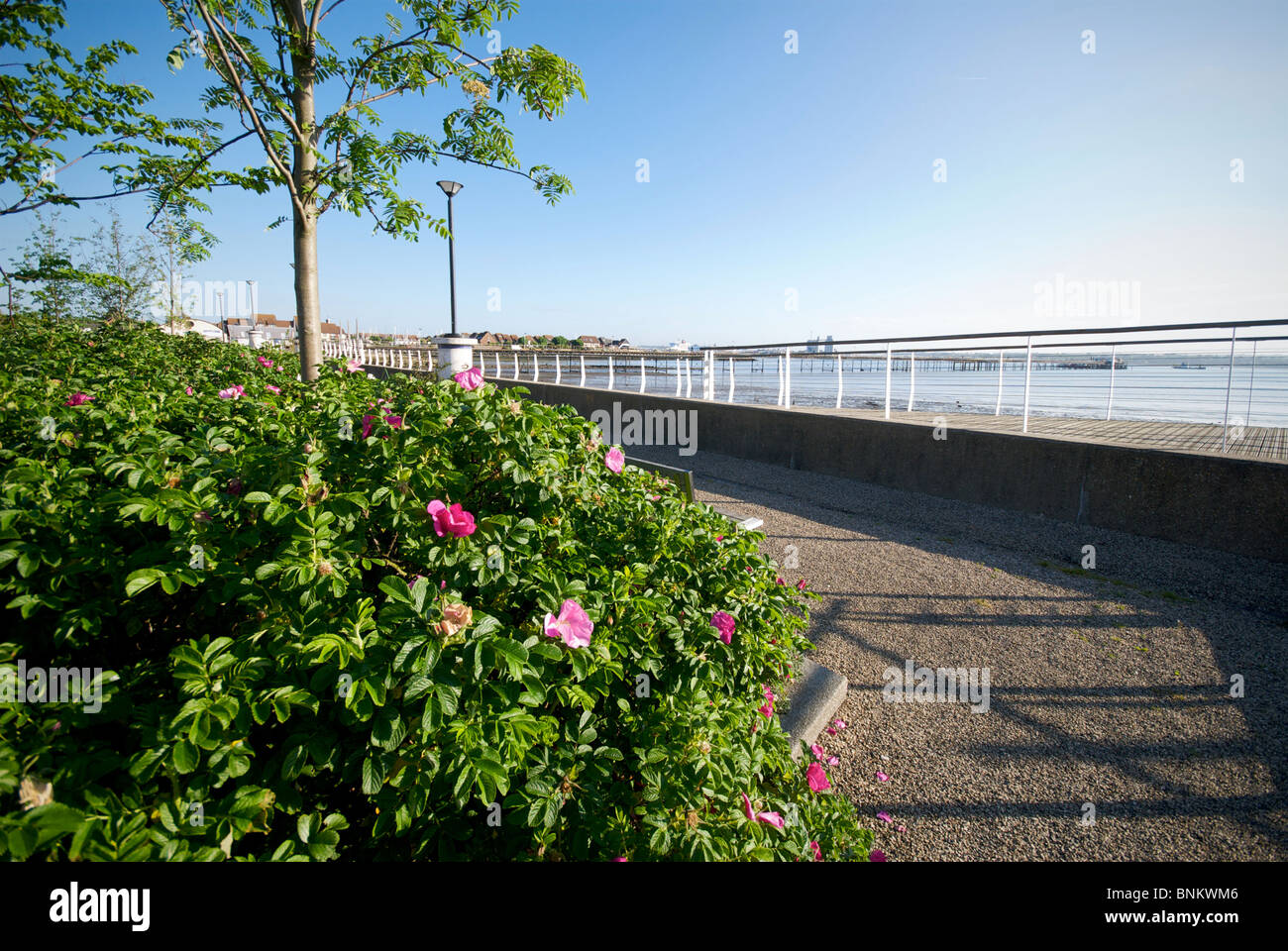 Balustrade pier hi-res stock photography and images - Alamy