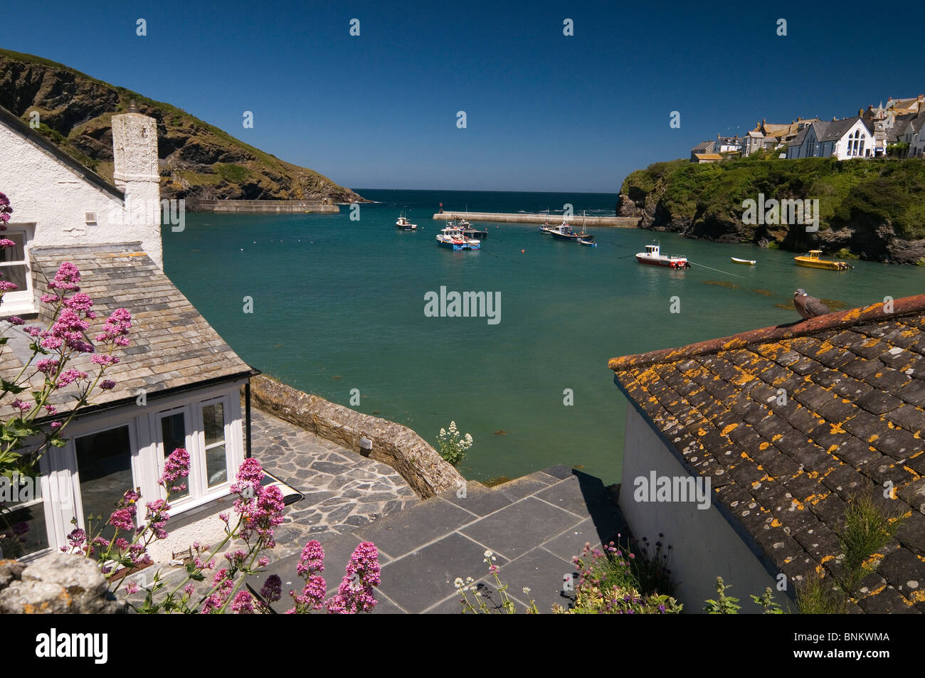 Port Isaac Cornwall England UK Stock Photo - Alamy