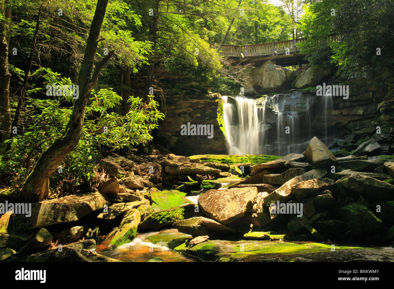 Elakala Falls in Blackwater Falls State Park, Davis, West Virginia, USA ...