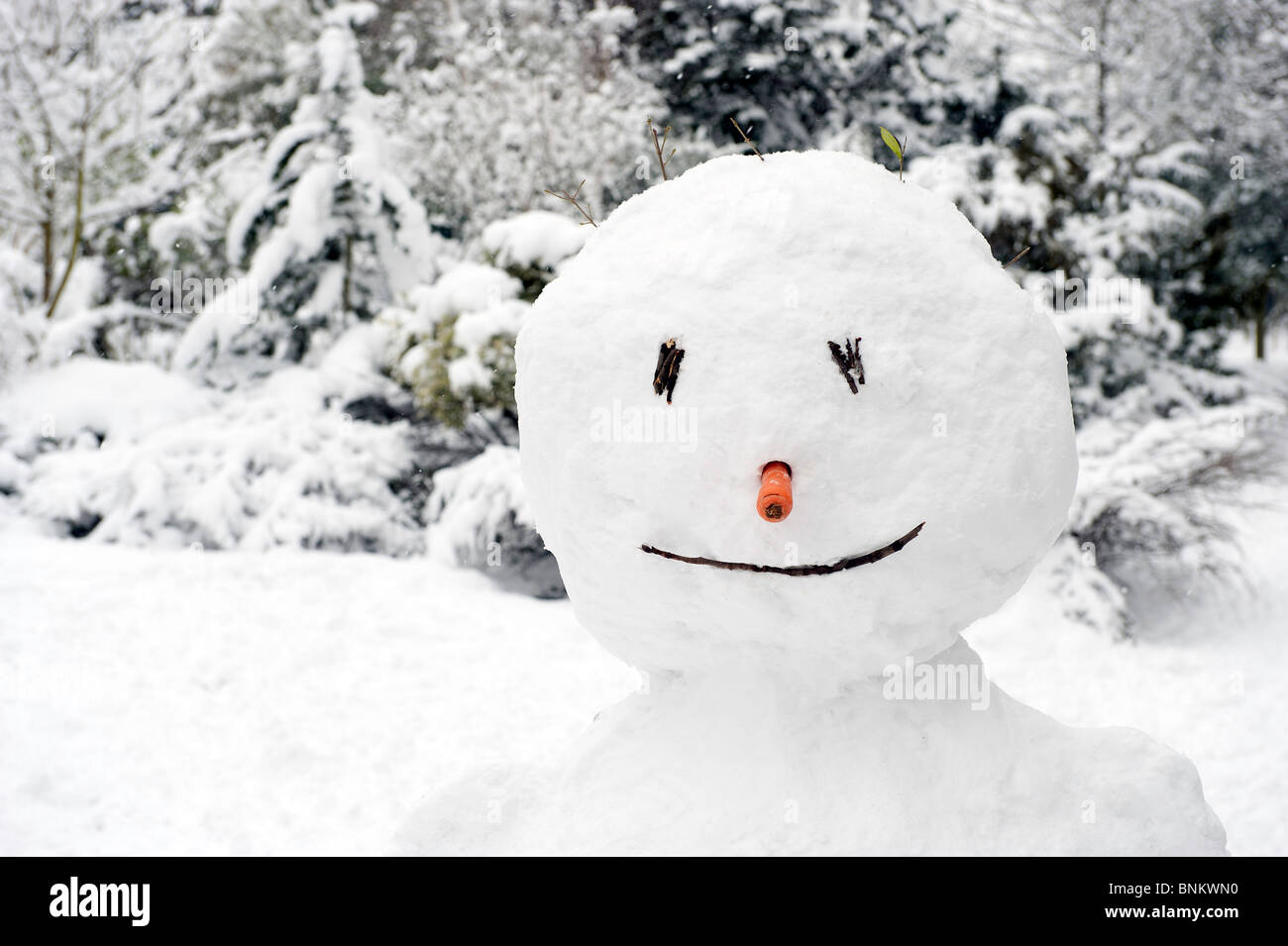 A traditional snow mans head and face in a wintry setting Stock Photo ...