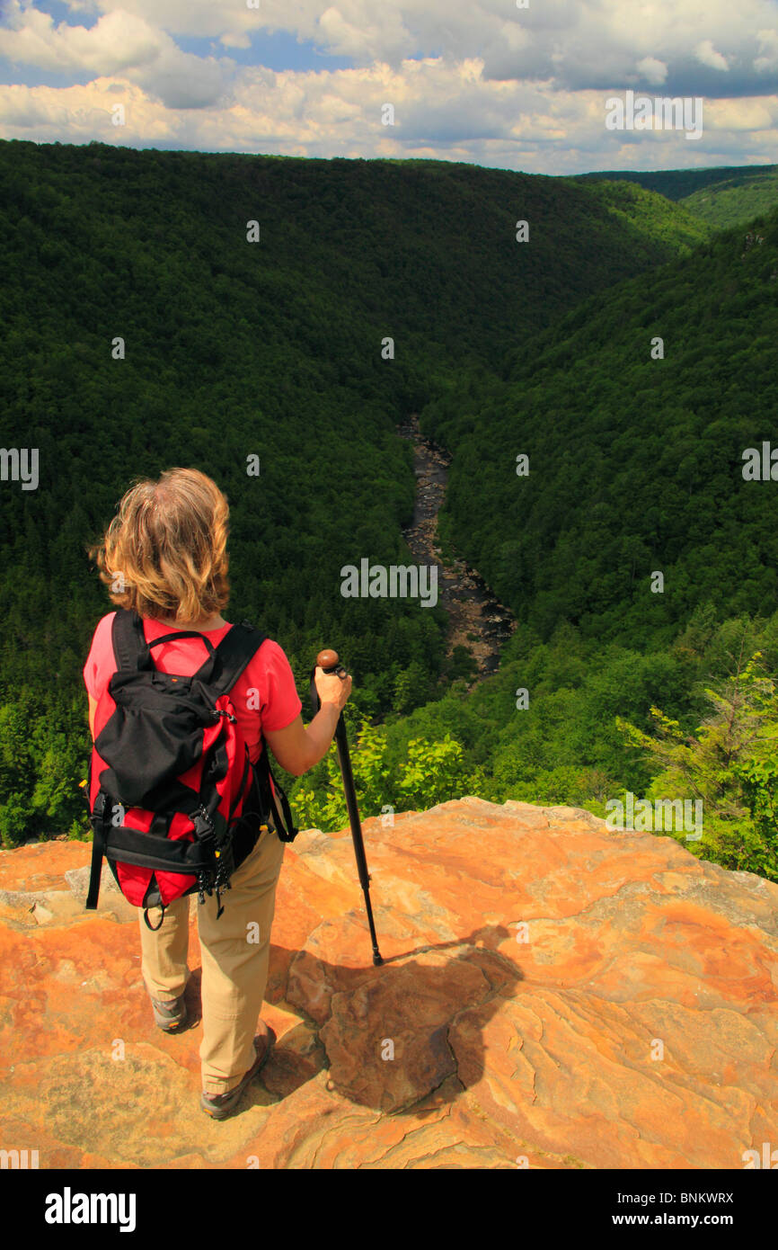 Hiker looks into Blackwater River Canyon from Pendleton Point Overlook ...