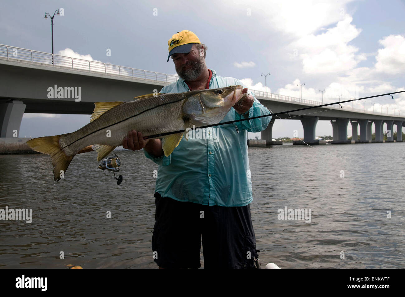 An inshore angler hefts a giant snook caught on a DOA lure from the ...