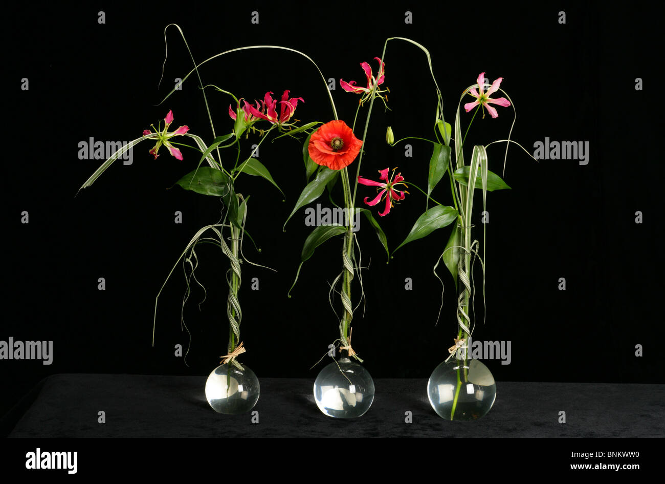 3 vases with exotic flowers Stock Photo - Alamy