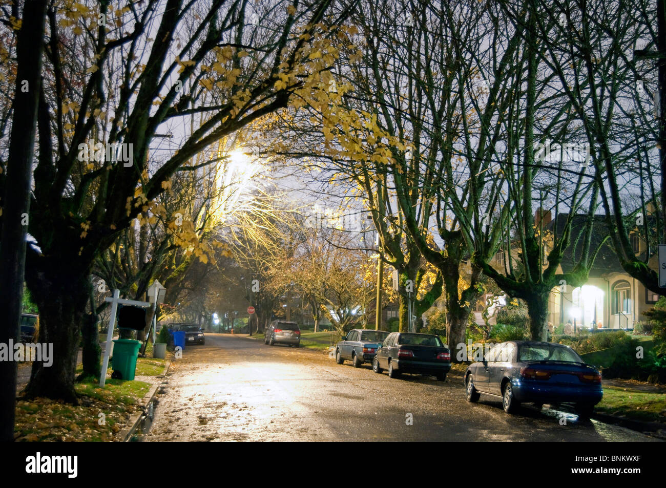 A neighborhood street at night time Stock Photo - Alamy