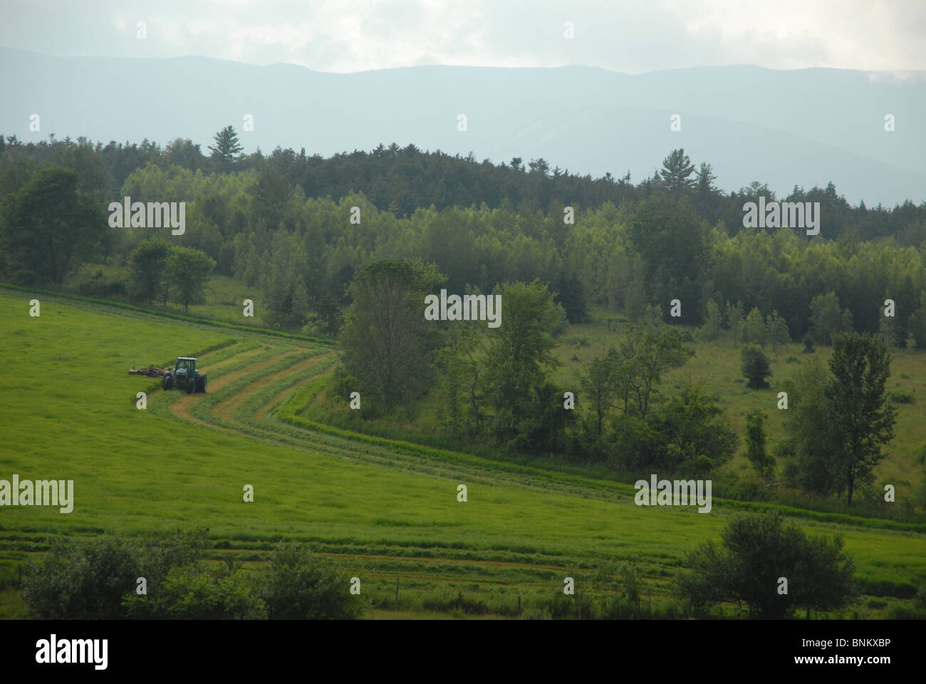 Vermont agriculture hi-res stock photography and images - Alamy