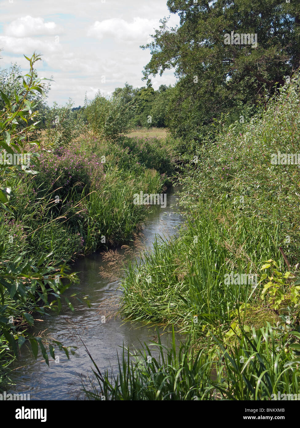 Lammas lands floodplain hi-res stock photography and images - Alamy