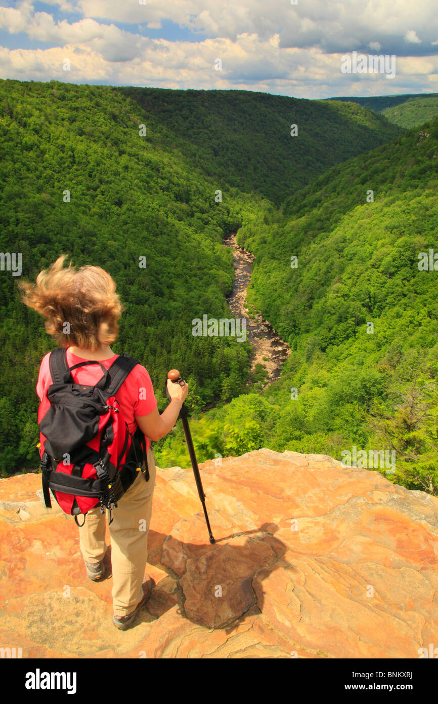 Hiker looks into Blackwater River Canyon from Pendleton Point Overlook ...