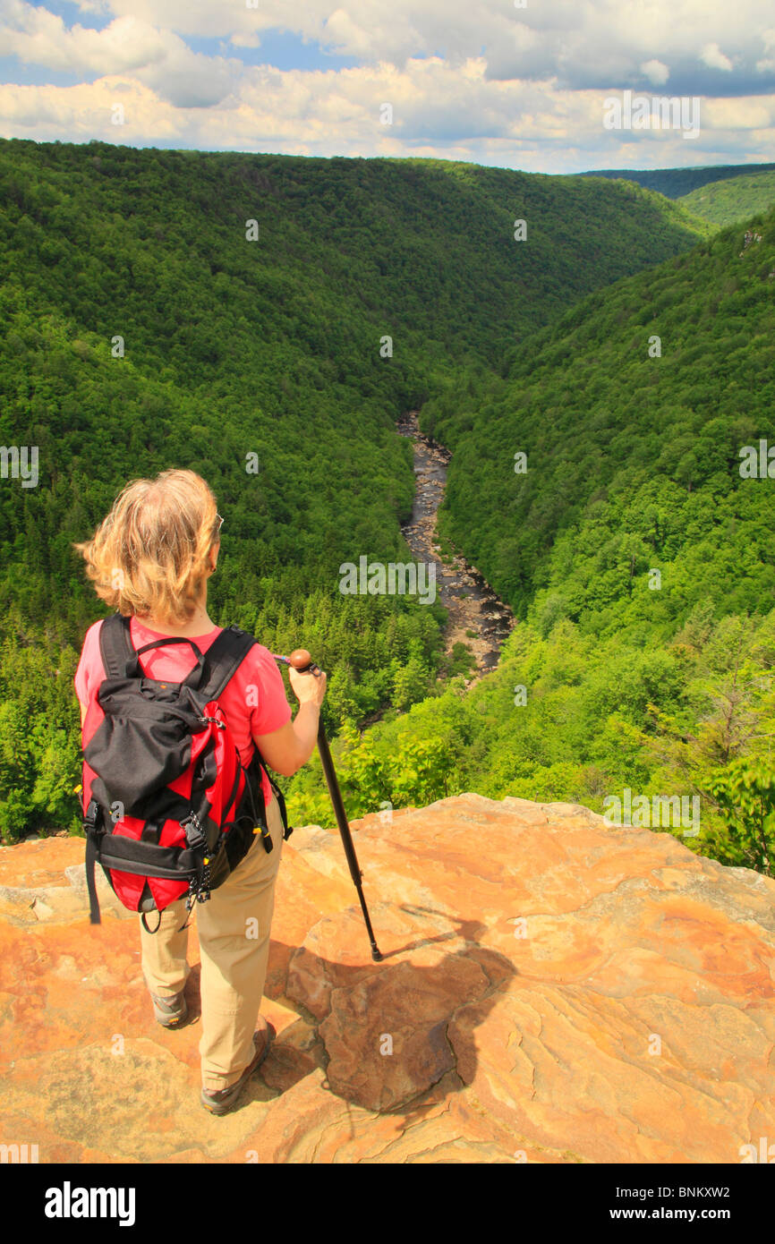 Hiker looks into Blackwater River Canyon from Pendleton Point Overlook ...