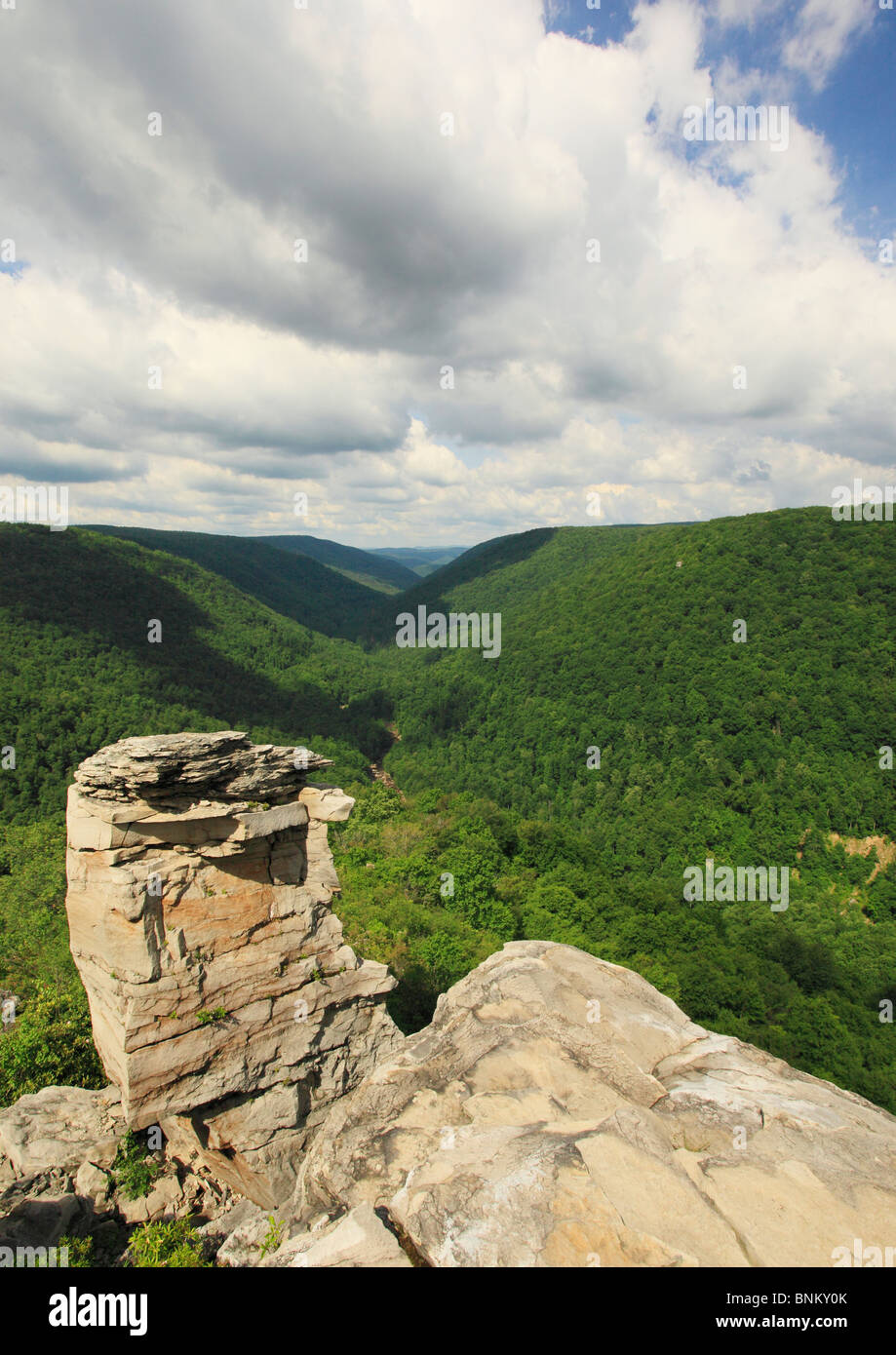 View from Lindy Point Overlook, Blackwater Falls State Park, Davis ...
