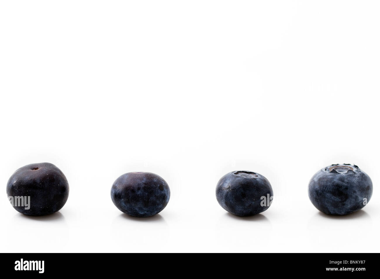 four blueberries in a row isolated on white background Stock Photo - Alamy