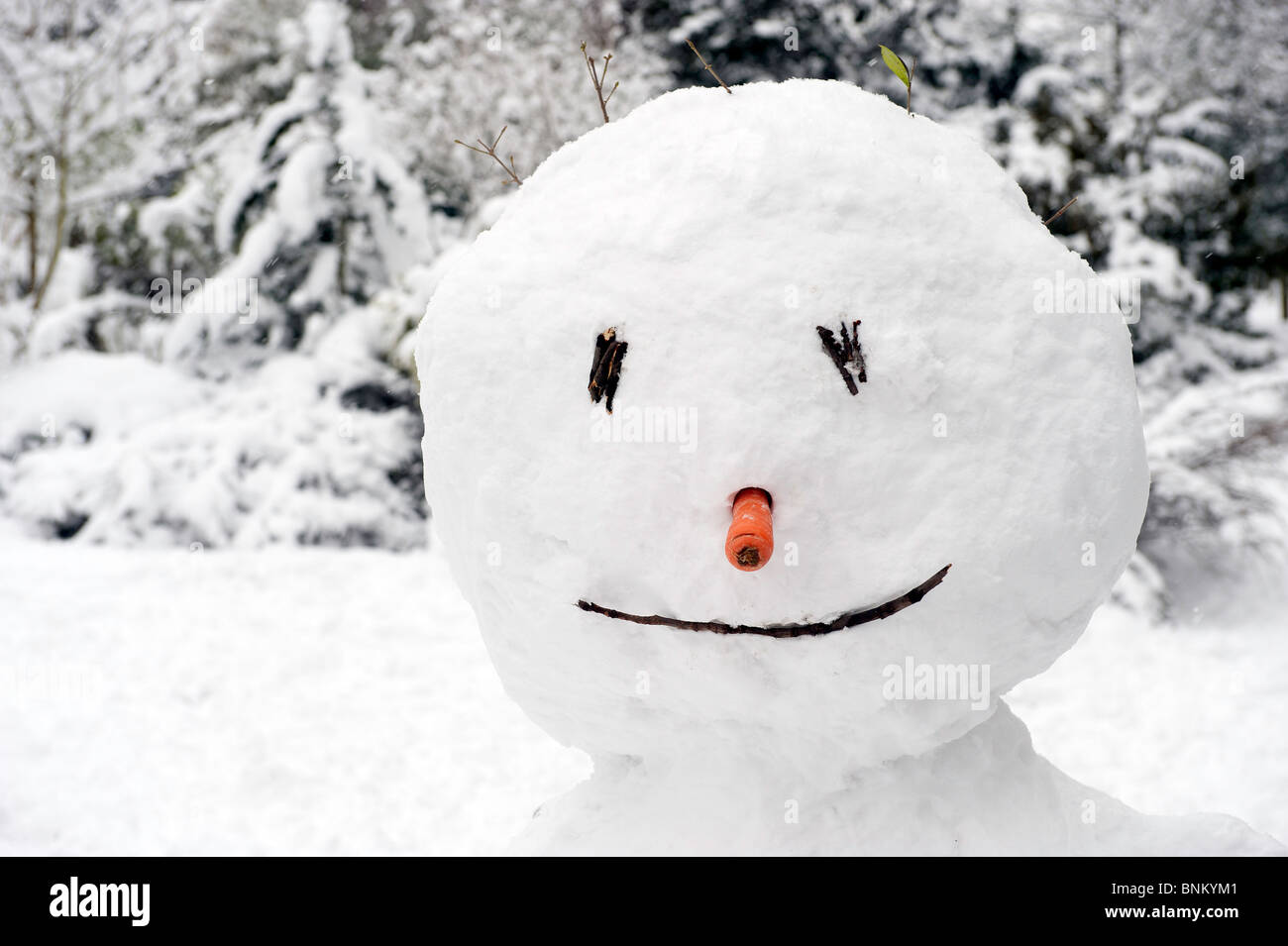 Traditional Snowman face and head Head in a wintery setting Stock Photo ...