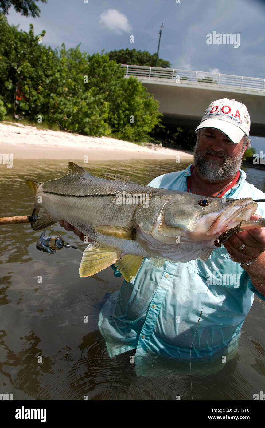 An inshore angler hefts a giant snook caught in Florida's Intracoastal ...