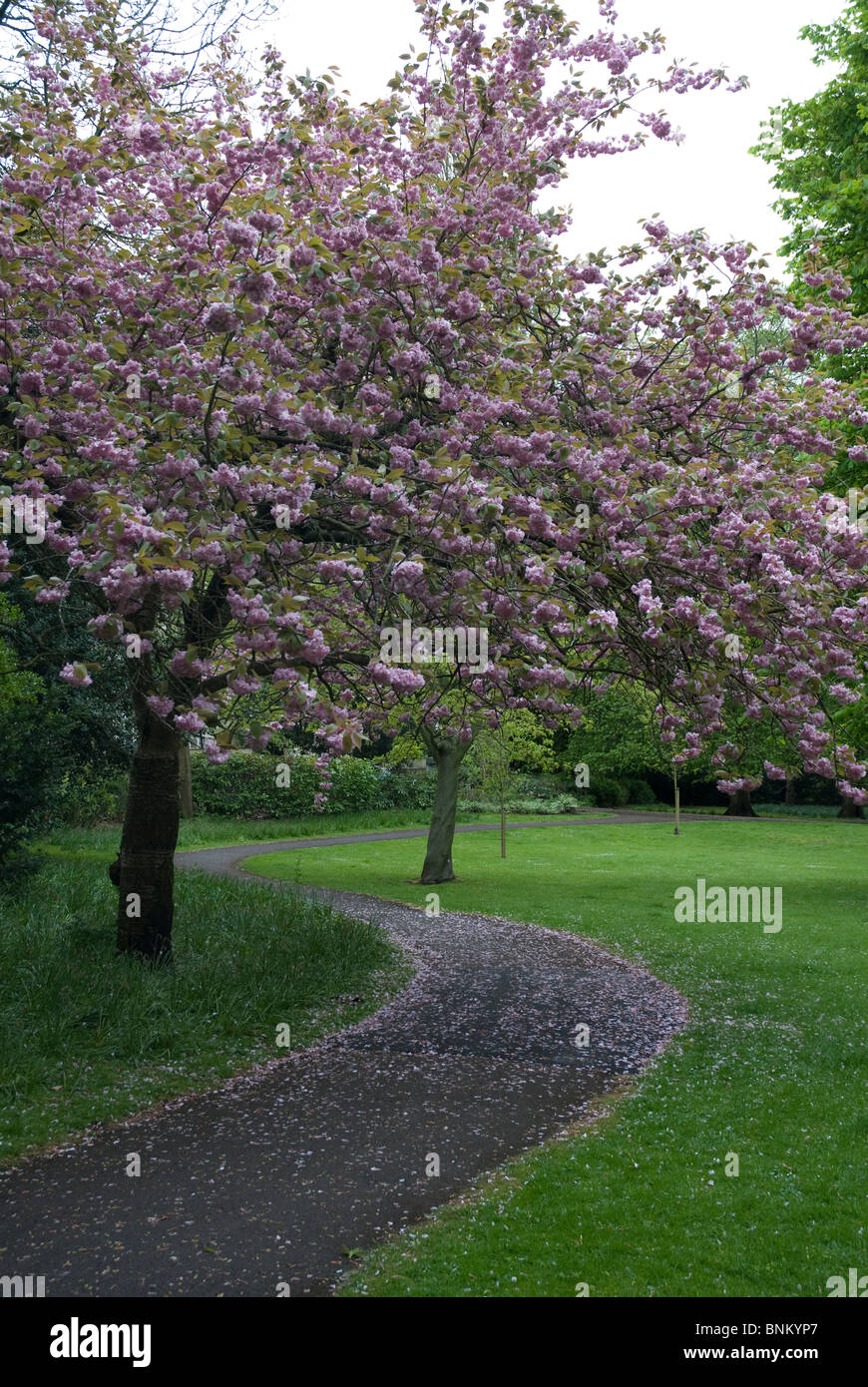 Henrietta park bath hi-res stock photography and images - Alamy