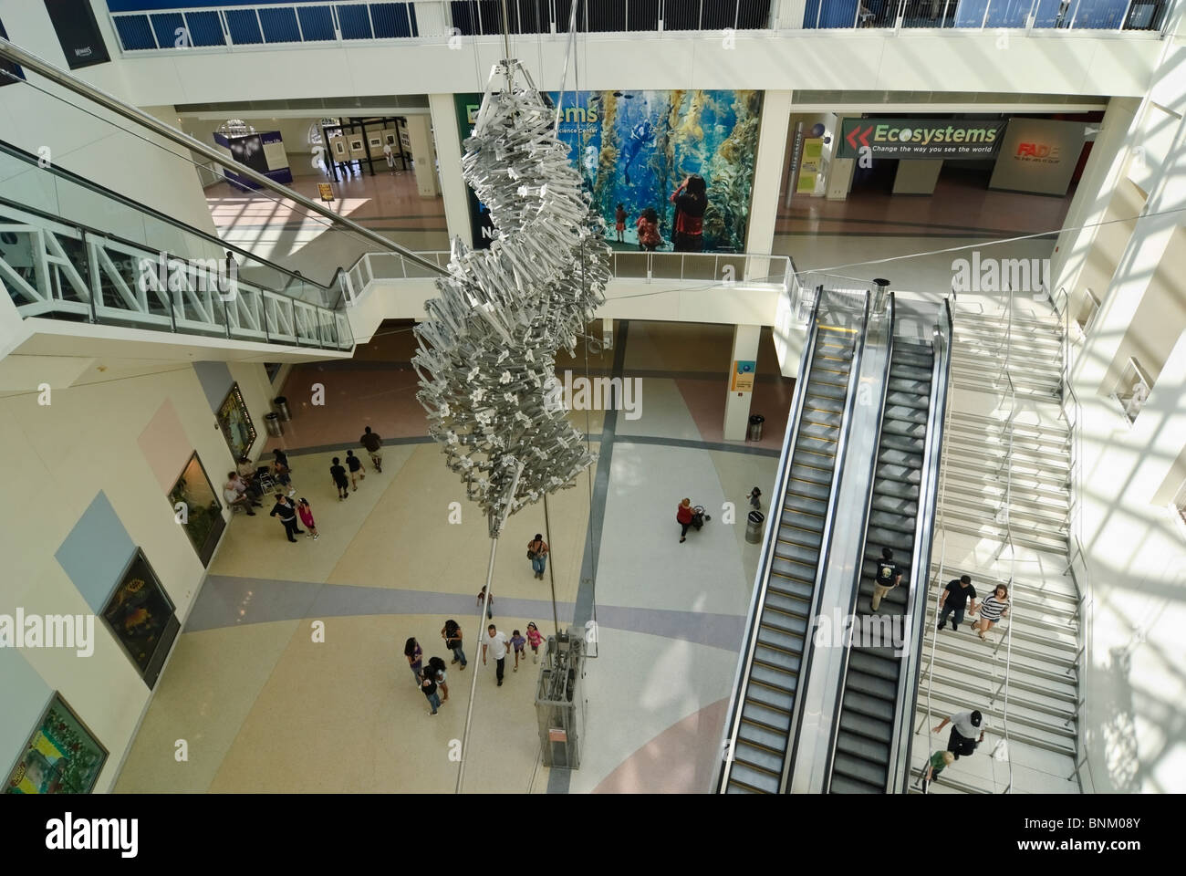 Interior lobby of the California Science Center in Los Angeles Stock ...