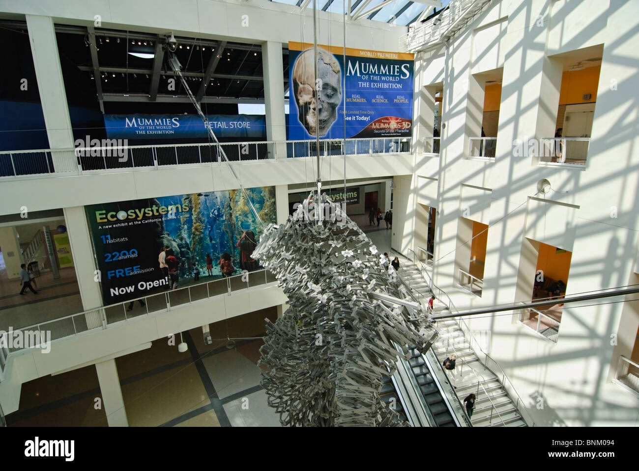 Interior lobby of the California Science Center in Los Angeles Stock ...