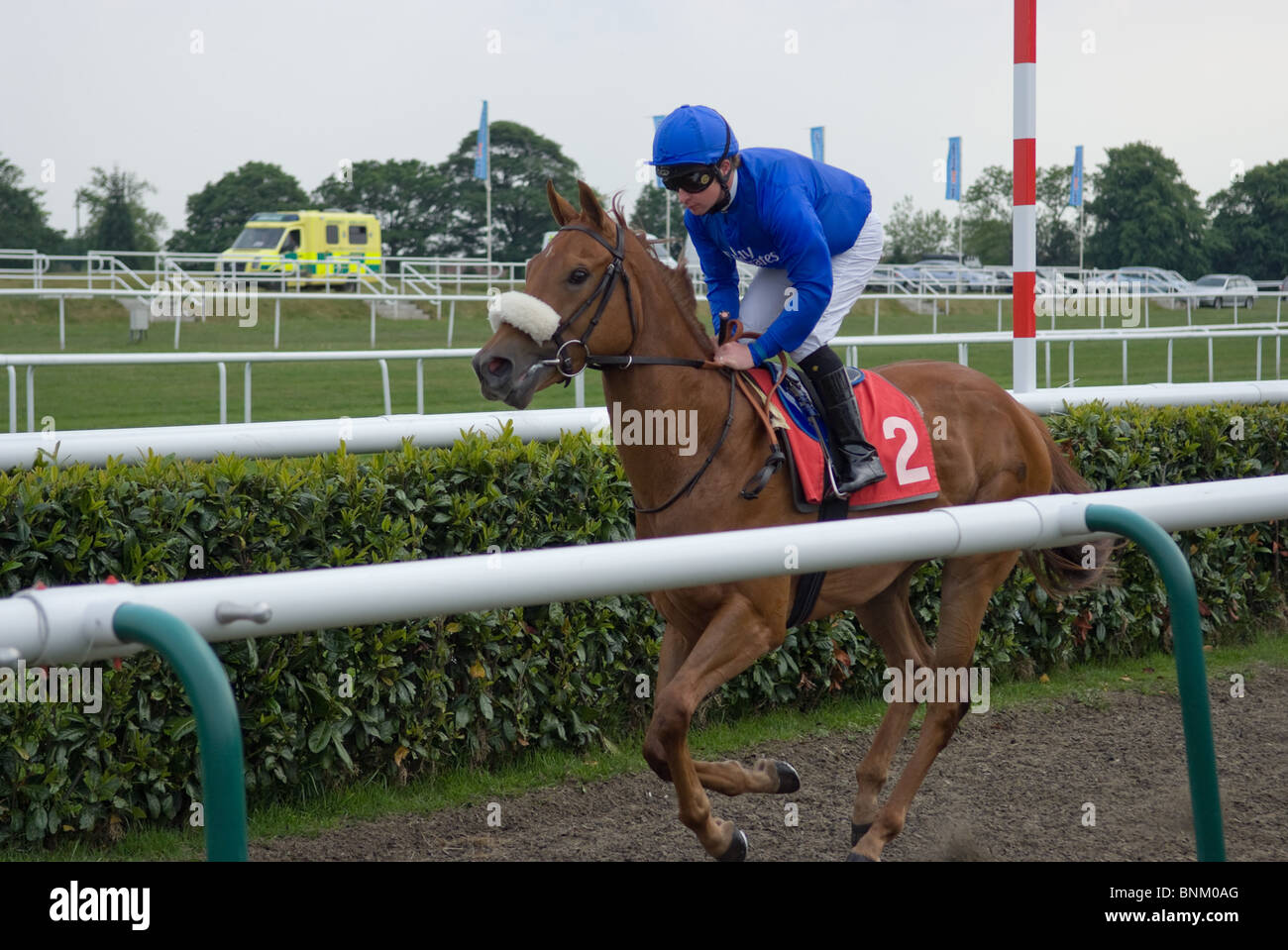 Tadhg oshea hi-res stock photography and images - Alamy