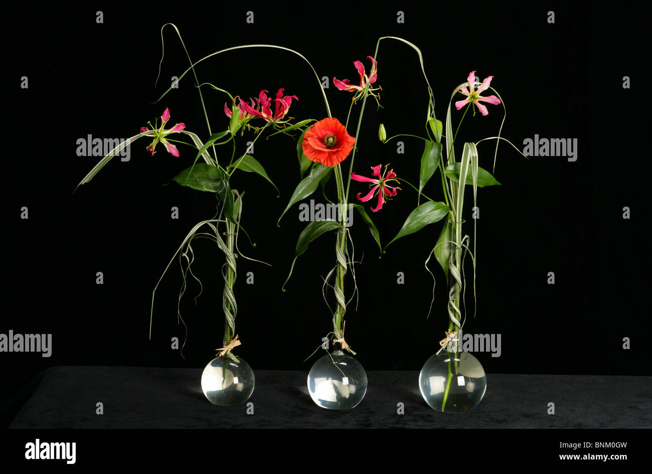 3 modern flower arrangements Stock Photo - Alamy