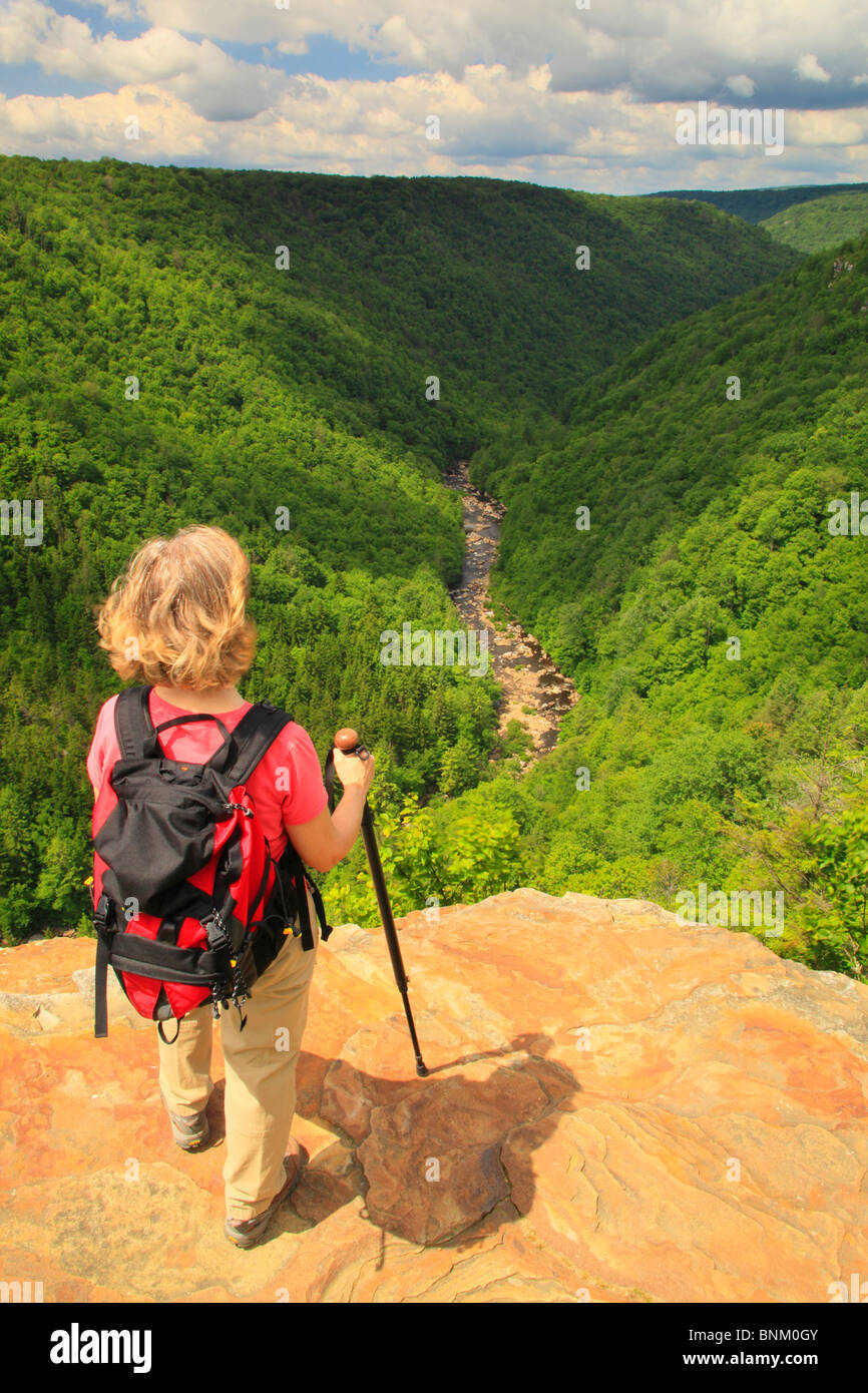 Hiker looks into Blackwater River Canyon from Pendleton Point Overlook ...