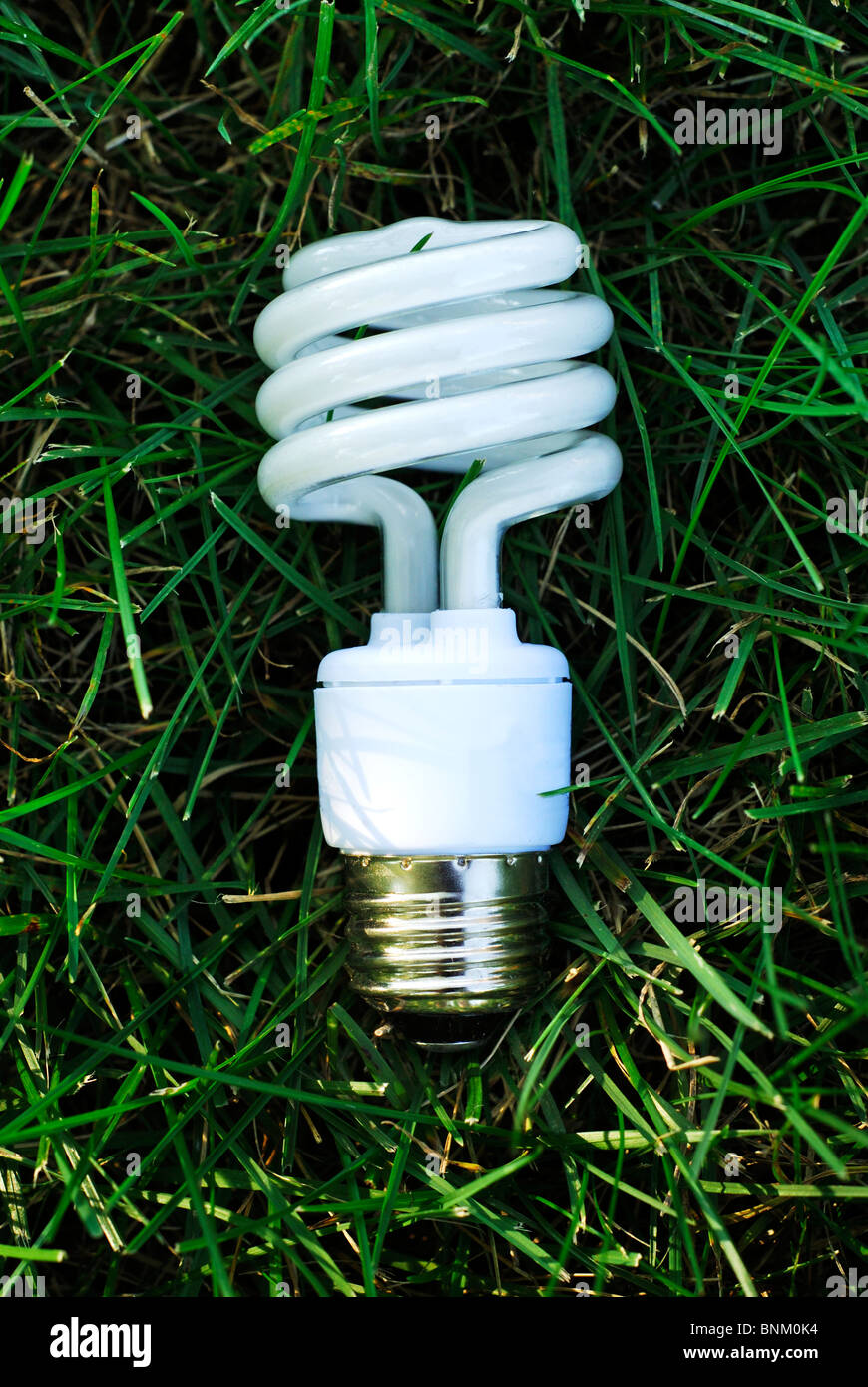A Spiral Fluorescent Light Bulb On A Green Grass Background Stock Photo ...