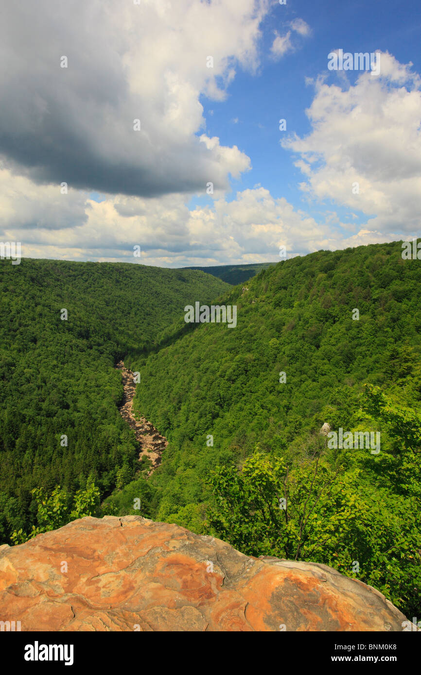 Hiker looks into Blackwater River Canyon from Pendleton Point Overlook ...