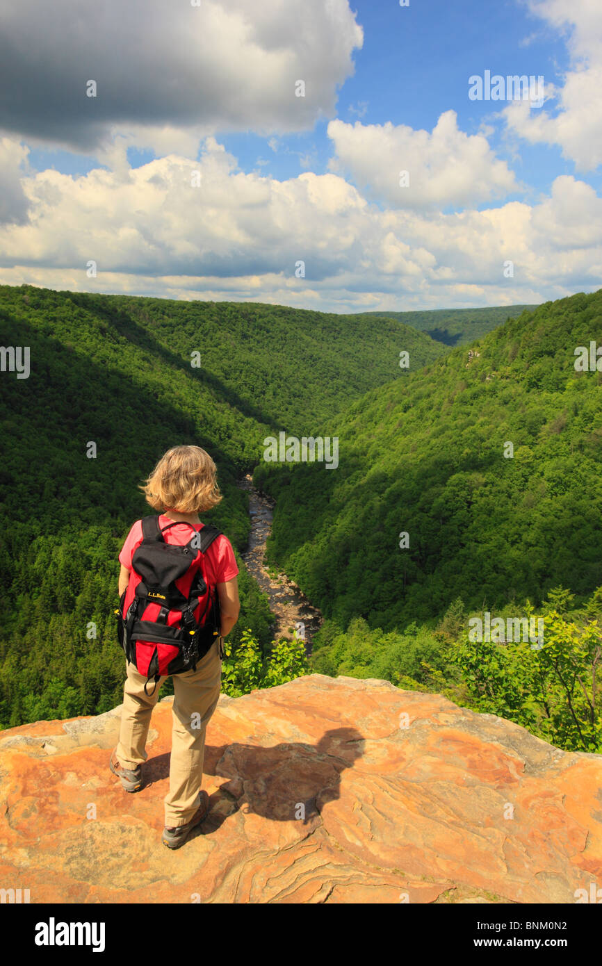 Hiker looks into Blackwater River Canyon from Pendleton Point Overlook ...