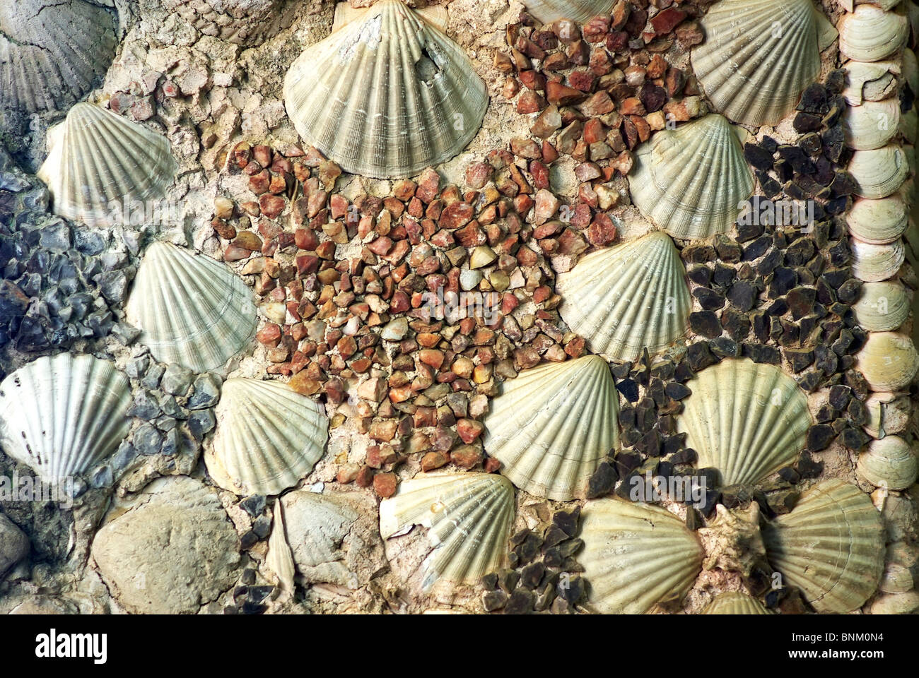 Blue seamless shells hi-res stock photography and images - Alamy