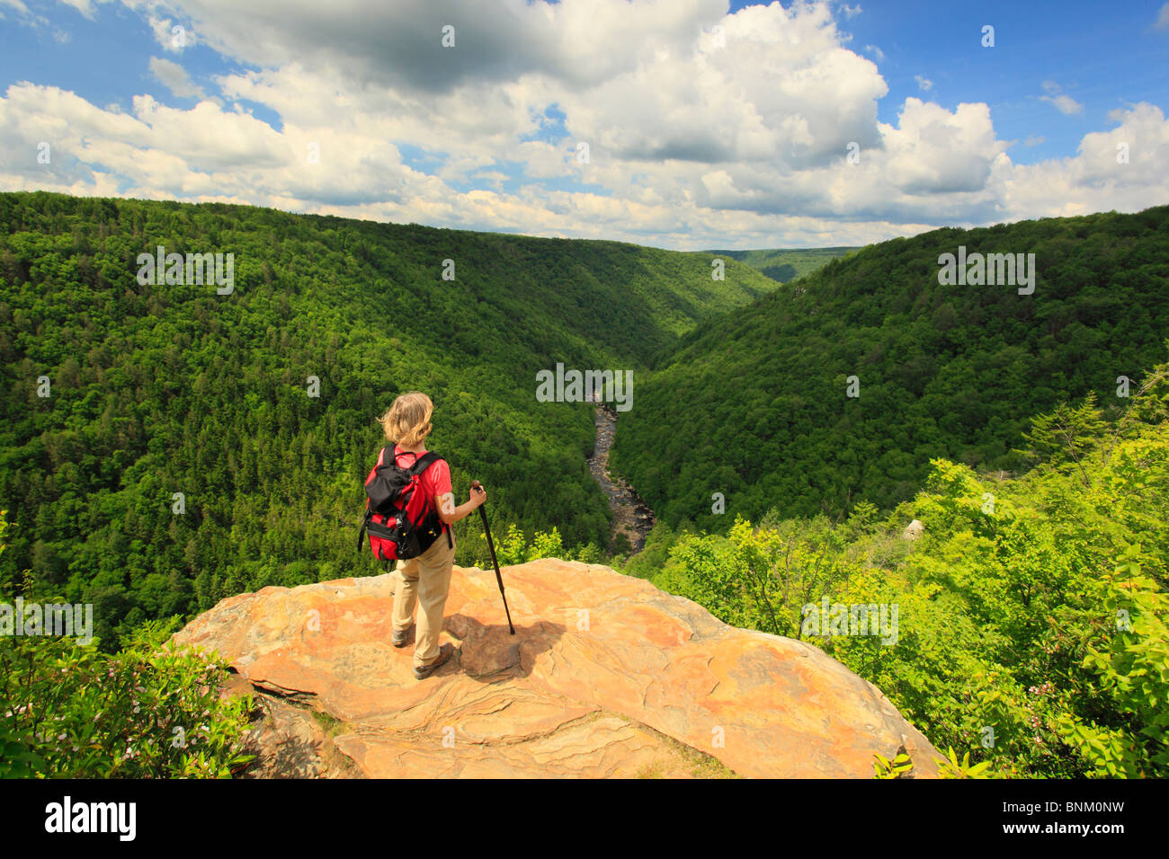 Hiker looks into Blackwater River Canyon from Pendleton Point Overlook ...
