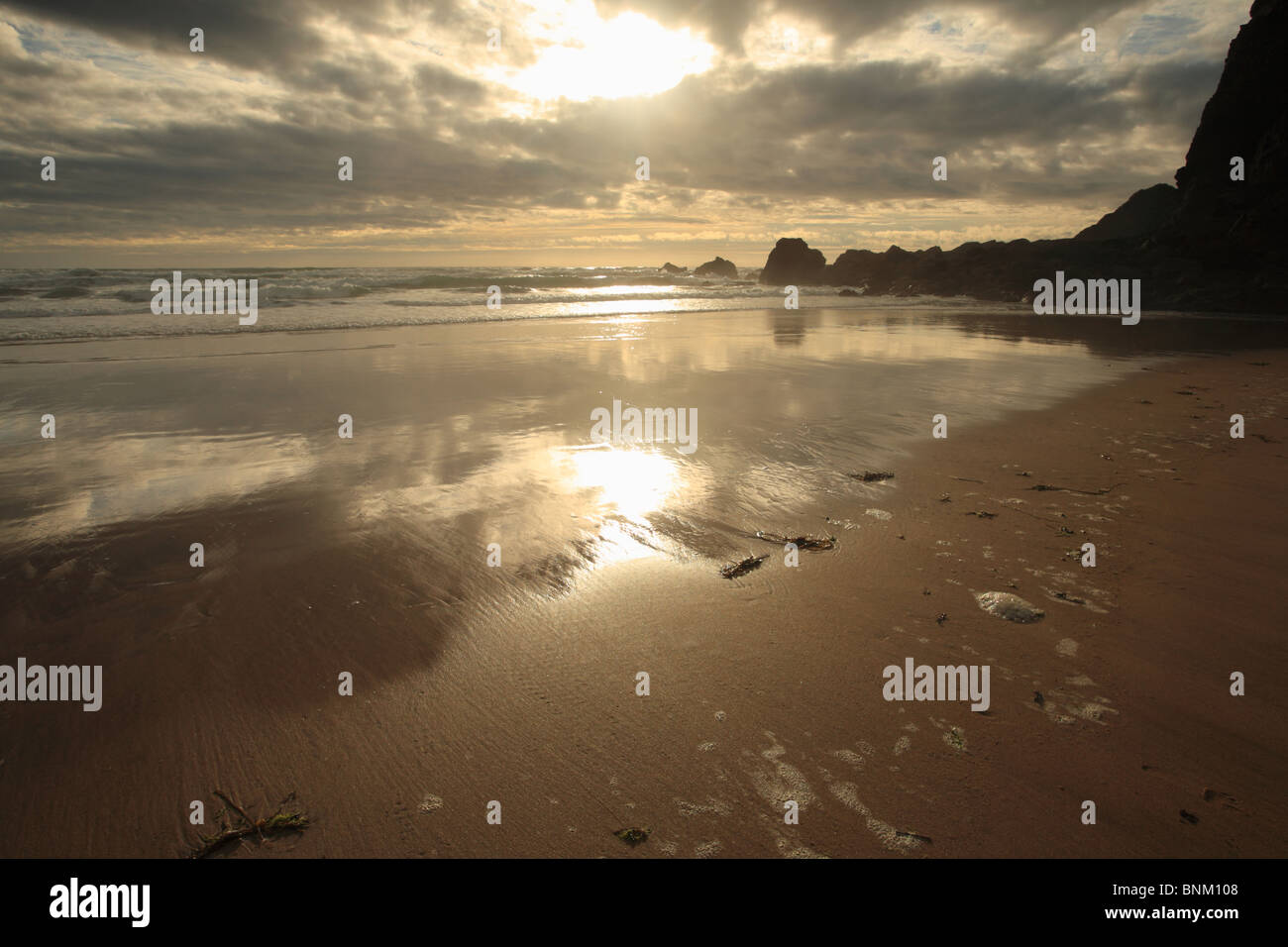 Duckpool beach, near Bude, North Cornwall, England, UK Stock Photo - Alamy