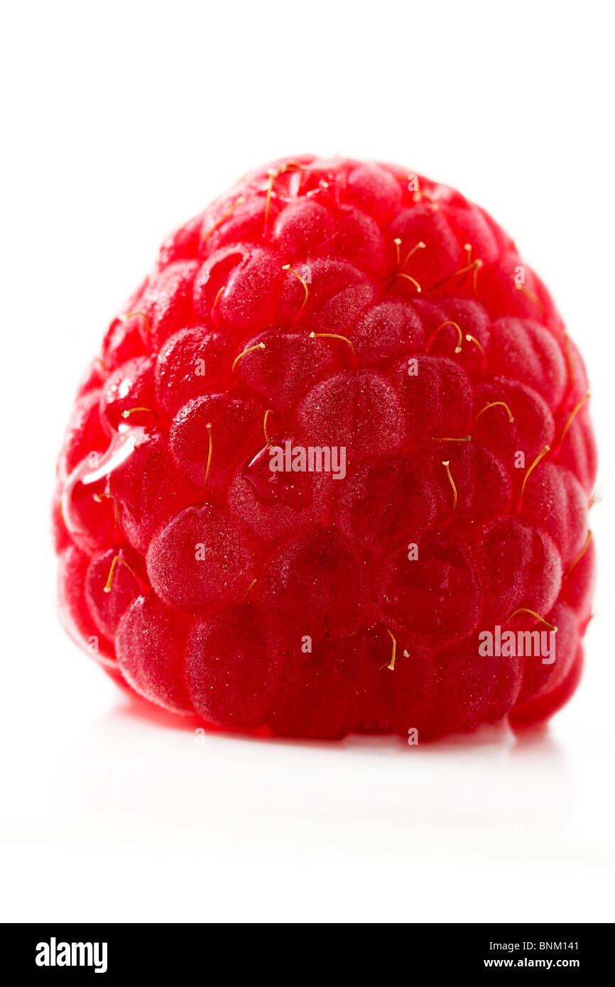 closeup of one raspberry isolated on white background Stock Photo - Alamy