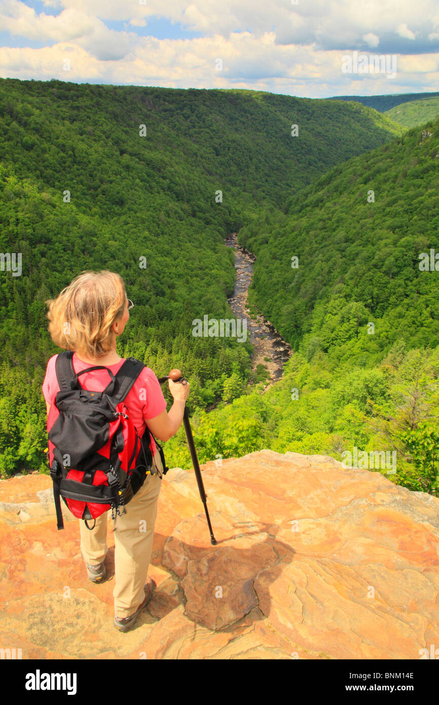 Hiker looks into Blackwater River Canyon from Pendleton Point Overlook ...