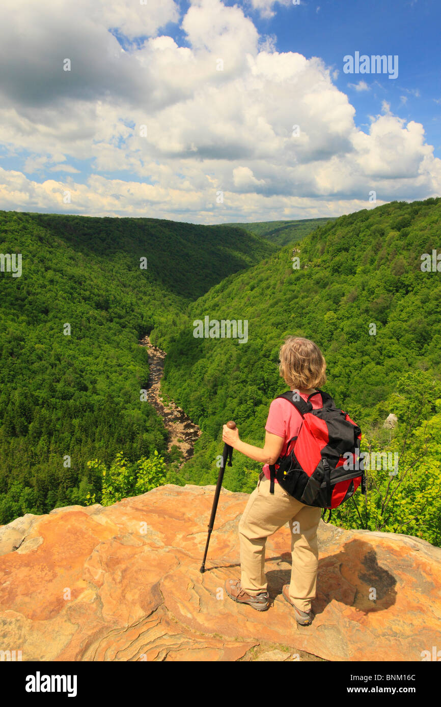 Hiker looks into Blackwater River Canyon from Pendleton Point Overlook ...