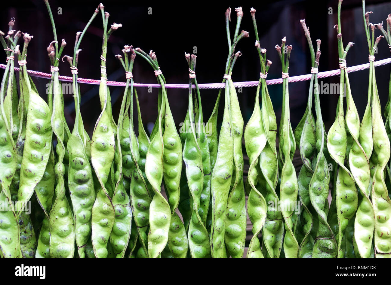 Green beans in market Stock Photo - Alamy