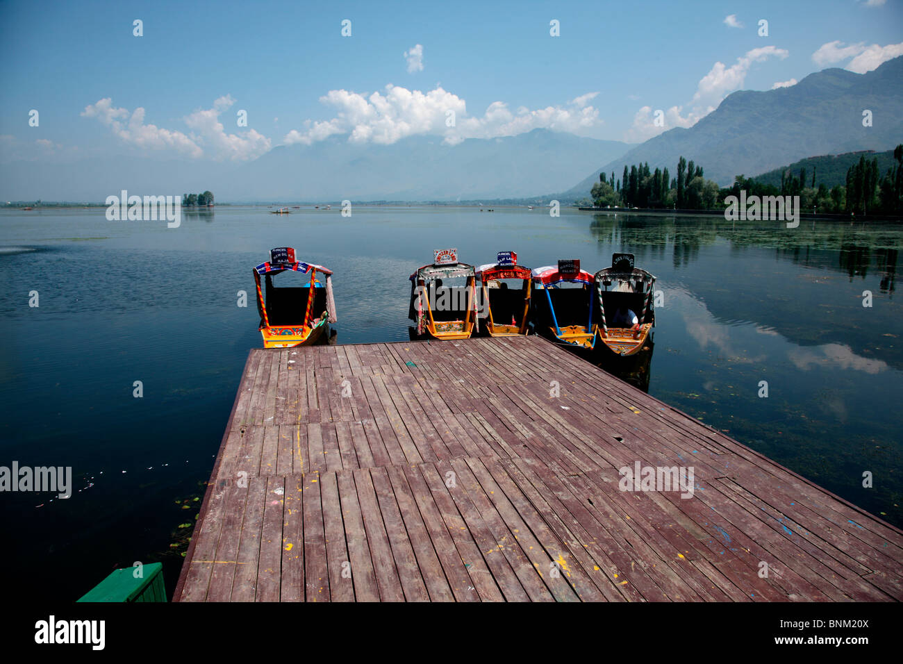 DAL LAKE - SRINAGAR, JAMMU AND KASHMIR, INDIA Stock Photo - Alamy