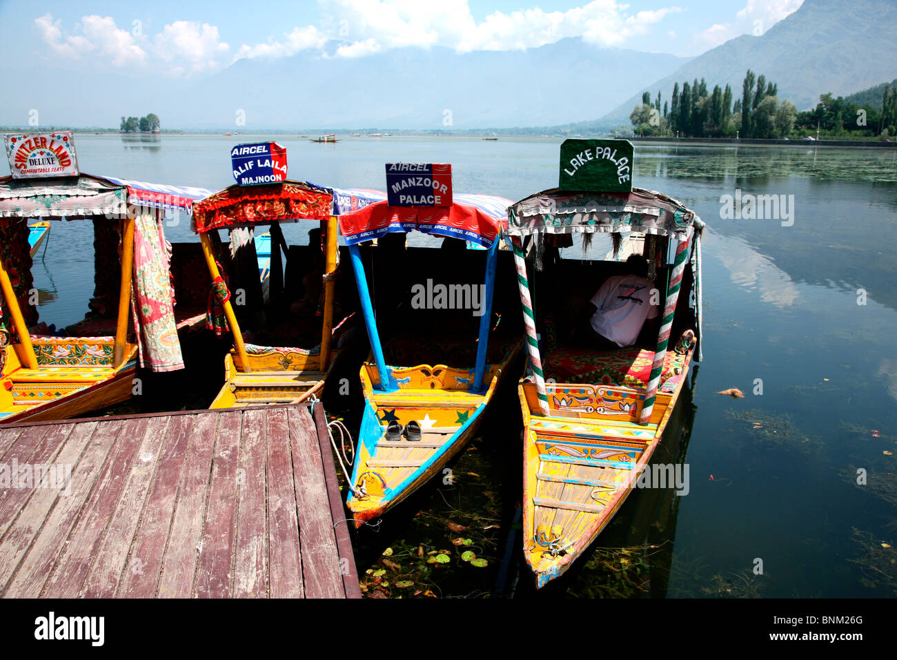 DAL LAKE - SRINAGAR, JAMMU AND KASHMIR, INDIA Stock Photo - Alamy