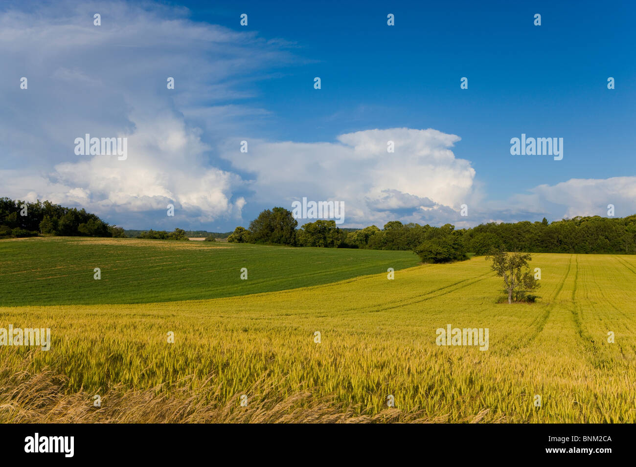 Revest-du-Bion France Provence Alpes-de-Haute-Provence clouds trees ...