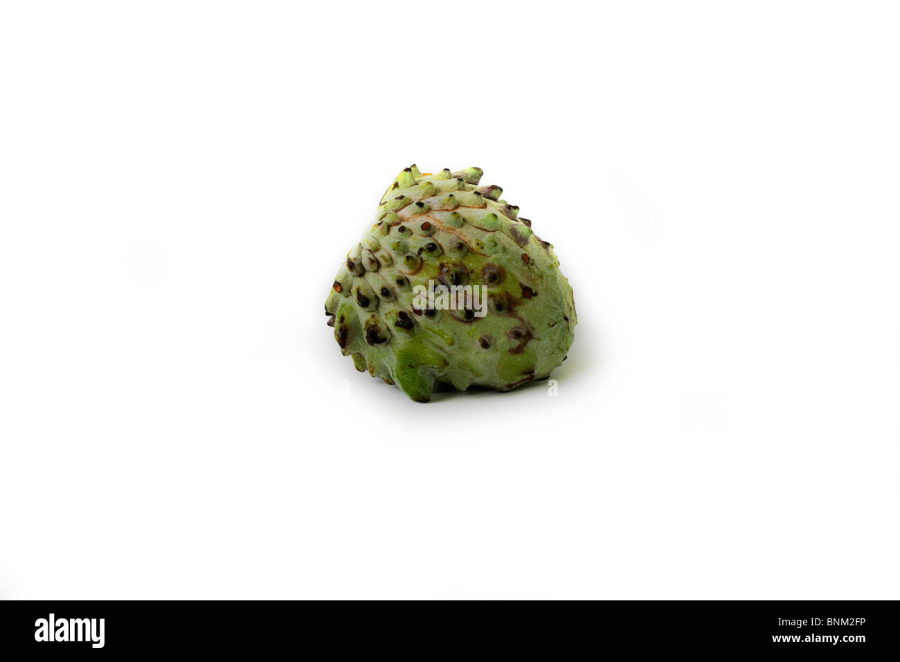 Atemoia fruit on white background Stock Photo - Alamy