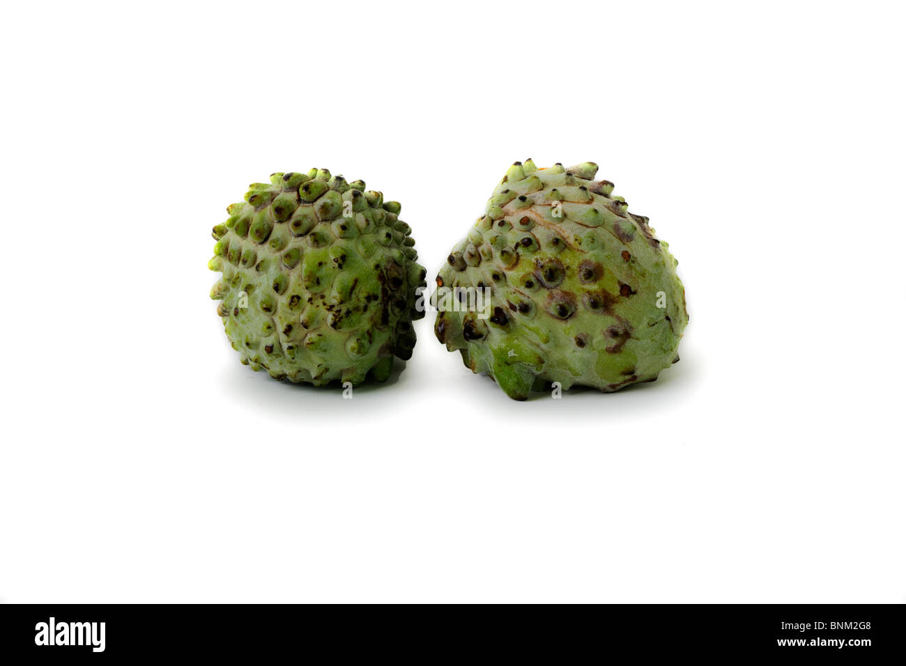 Species rich flora Cut Out Stock Images & Pictures - Alamy