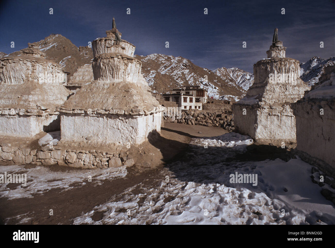 Chorten Stakna Gompa Monastery Ladakh India religion buddhism monastery ...