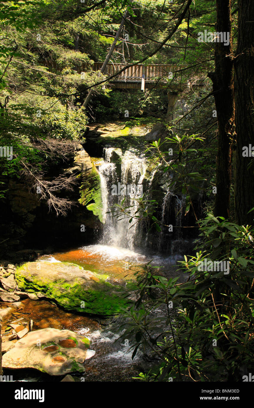 Elakala Falls in Blackwater Falls State Park, Davis, West Virginia, USA ...