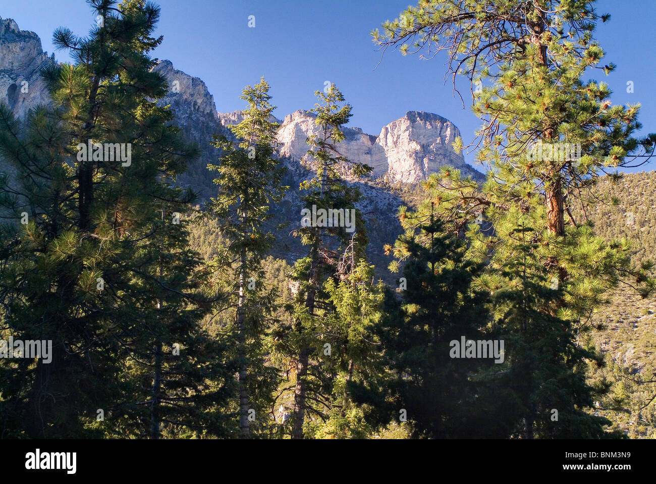 Mount charleston peak hi-res stock photography and images - Alamy
