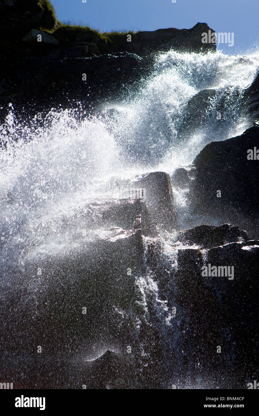 Bach drop hi-res stock photography and images - Alamy